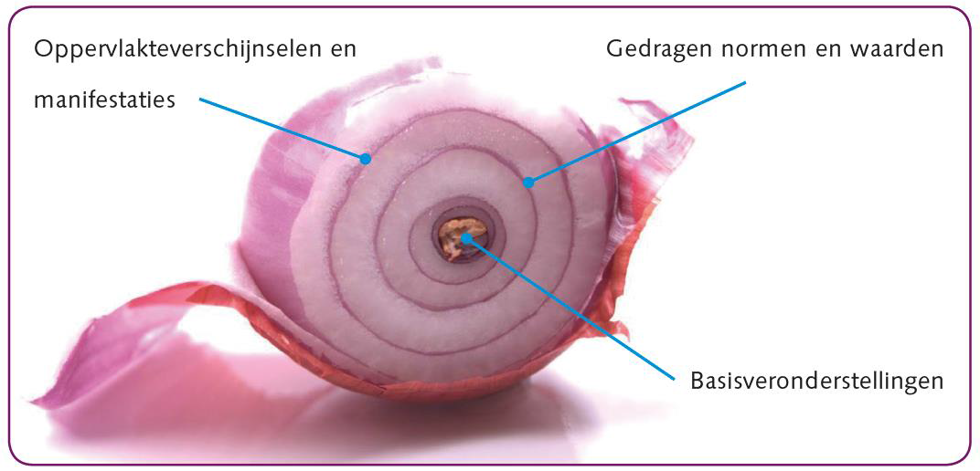 Artikel Assetmanagement en cultuur | Pragma